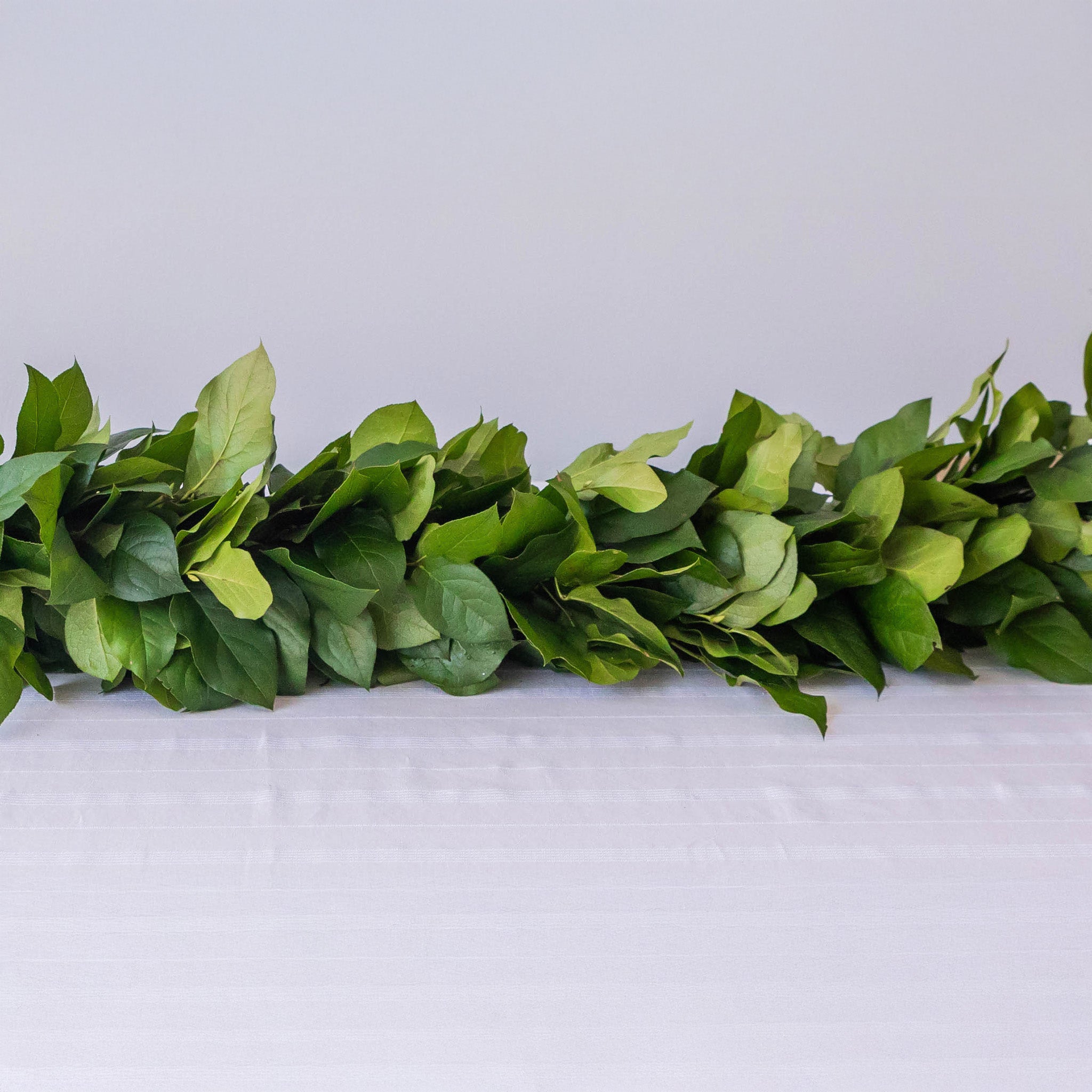 Salal Classic Garland – Wild Greens International