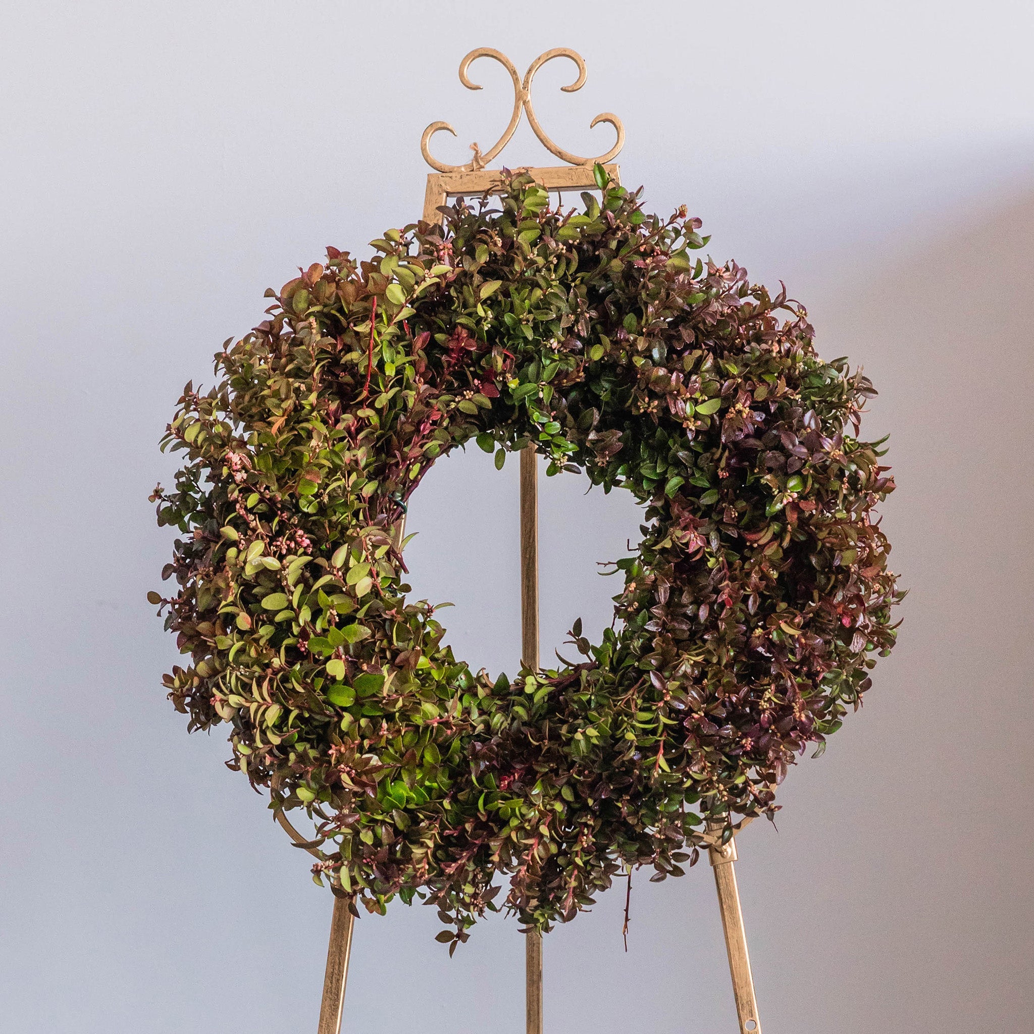 Red Huckleberry Wreath – Wild Greens International